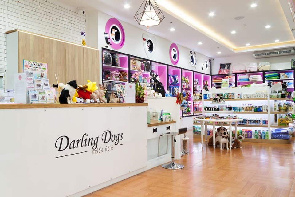 Darling Dogs (ศาลายา) รีวิว | Petmap.co ค้นหาร้านและที่เที่ยวสุนัขเข้าได้