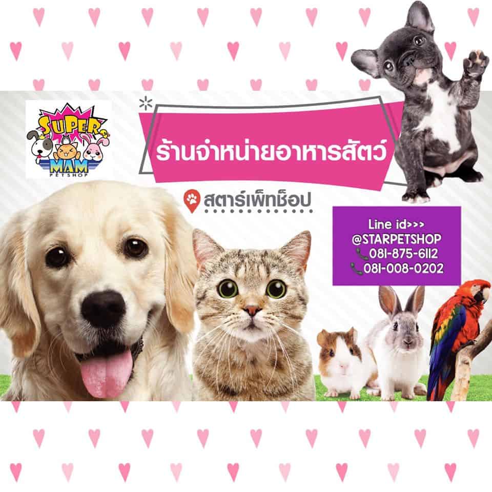 STAR Petshop (สตาร์เพ็ทช็อป) รีวิว | Petmap.co ค้นหาร้านและที่เที่ยว ...