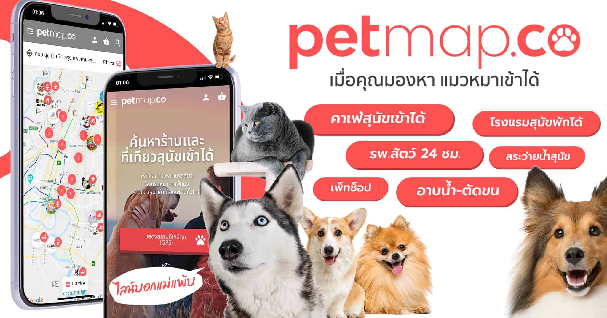 Pet-Friendly Guide | Petmap.co